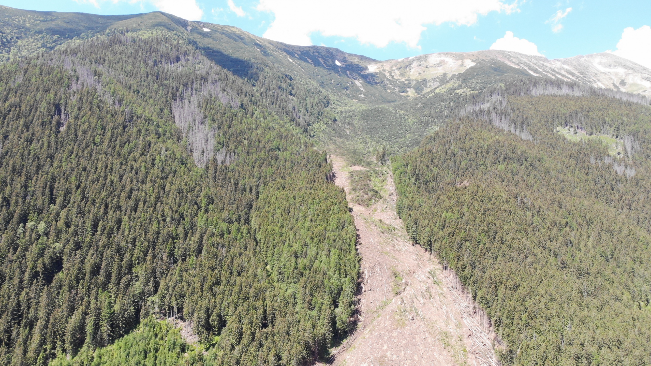 Jamnická dolina – škody po lavíne z februára 2022. | Stredisko ...